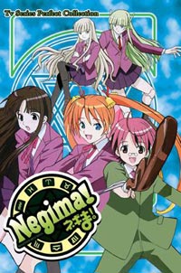 Negima TV Series Perfect Complete DVD Collection (Anime DVD)
